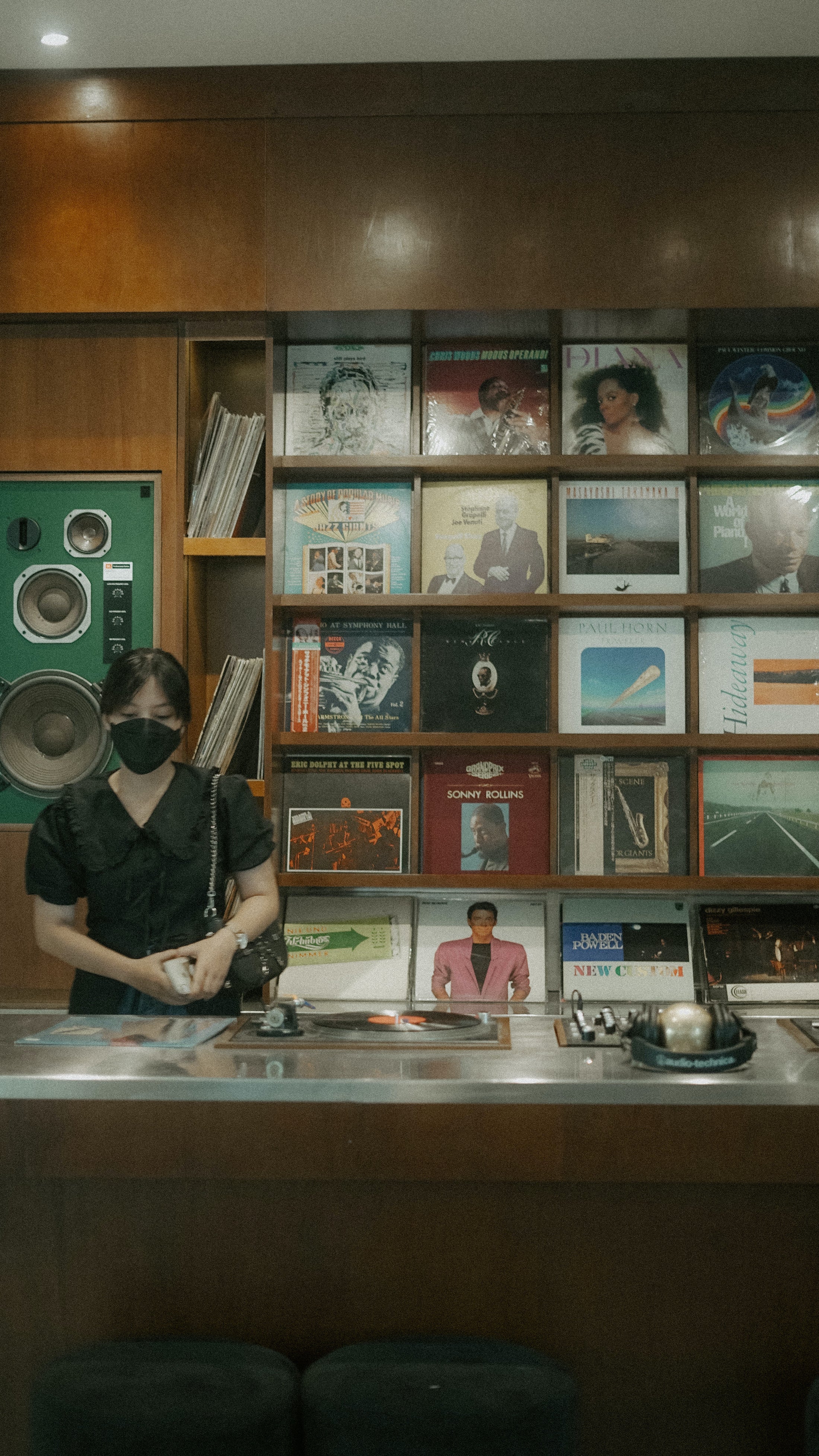 How to Build a DIY Vinyl Record Storage System: Step-by-Step Plans ...